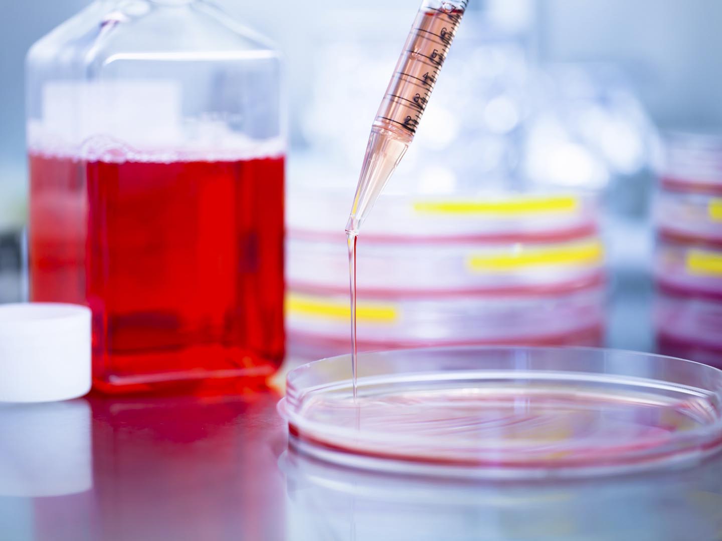 Considering Cloned Meat? - Dr. Weil